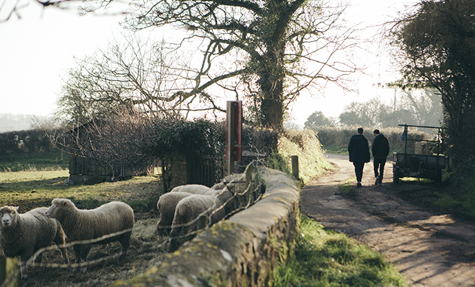 Holiday Cottages on a Working Farm | Self-Catering Farm Holidays