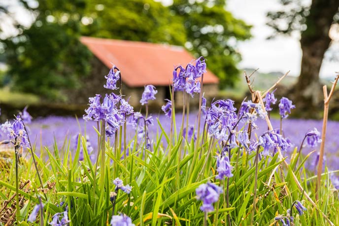 Things to do in Sennen | Holidays in Cornwall